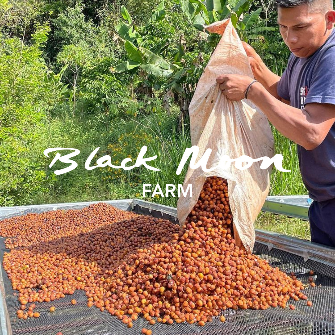 Two moon-inspired Geisha Lots from Black Moon Farm’s second harvest ...